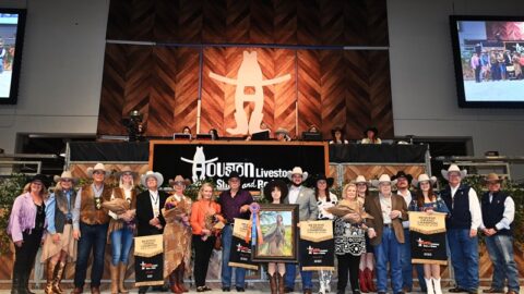 2023 Exhibitors Show Off Their Talents at the Houston Livestock Show ...