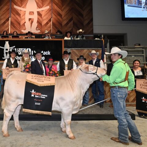 Bids Flew as the 2023 Grand and Reserve Grand Champion Junior Market ...