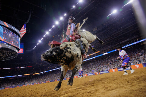 About Us - Houston Livestock Show and Rodeo