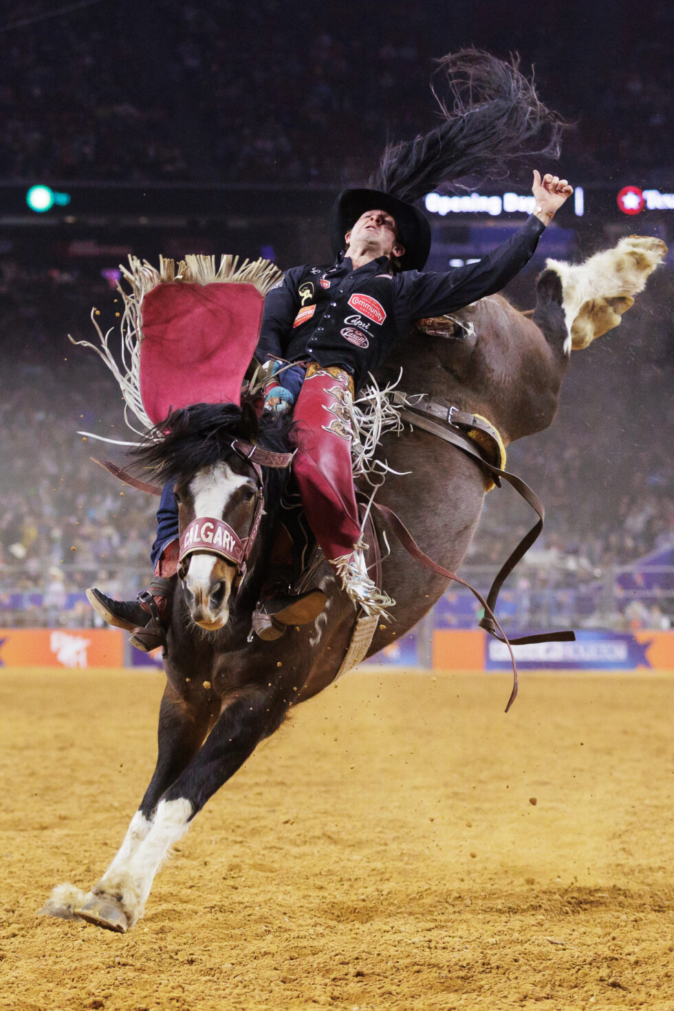 RODEOHOUSTON Champions - Houston Livestock Show and Rodeo
