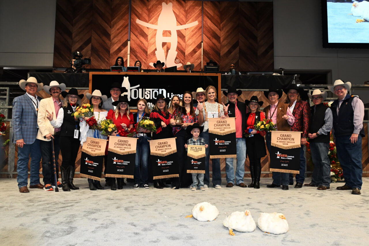 Auctions & Sales - Houston Livestock Show and Rodeo