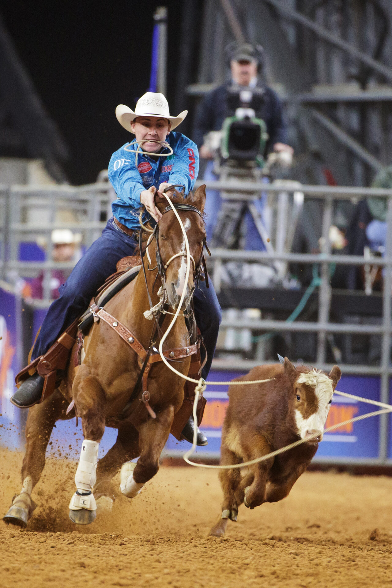 RODEOHOUSTON Champions - Houston Livestock Show and Rodeo