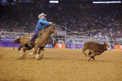 RODEOHOUSTON - Houston Livestock Show and Rodeo