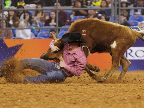Rodeo 101 | Houston Livestock Show and Rodeo
