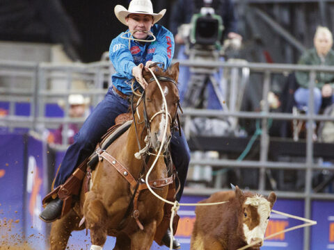Rodeo 101 | Houston Livestock Show and Rodeo