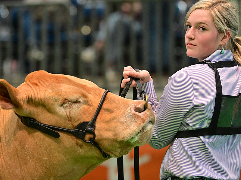 Plan Your Visit - Houston Livestock Show and Rodeo