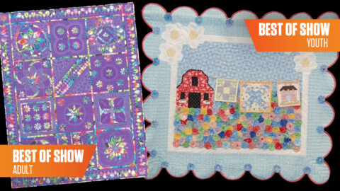 2024 Quilt Contest Winners Announced | Houston Livestock Show and Rodeo