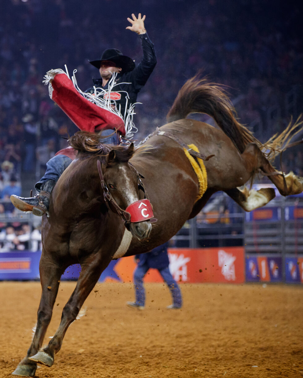 Rodeo 101 - Houston Livestock Show and Rodeo