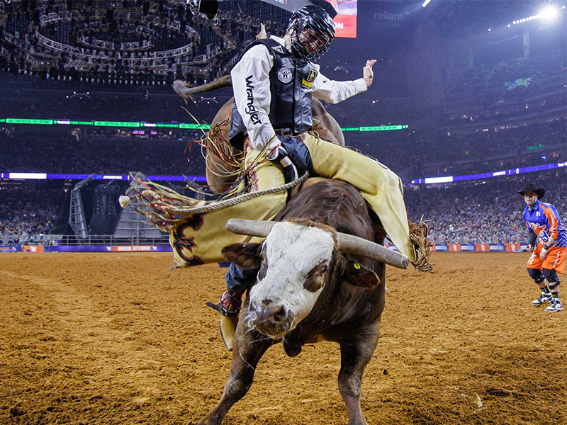 Plan Your Visit - Houston Livestock Show and Rodeo