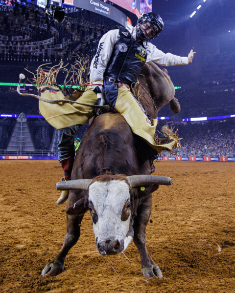 Rodeo 101 - Houston Livestock Show and Rodeo