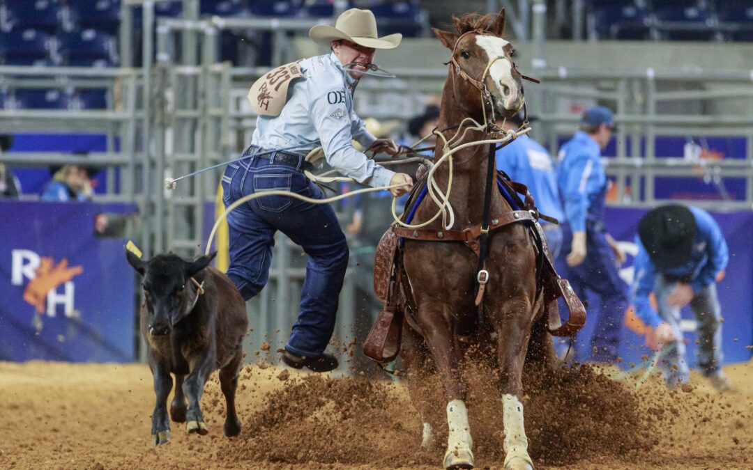 Super Series II Championship Results | Houston Livestock Show and Rodeo
