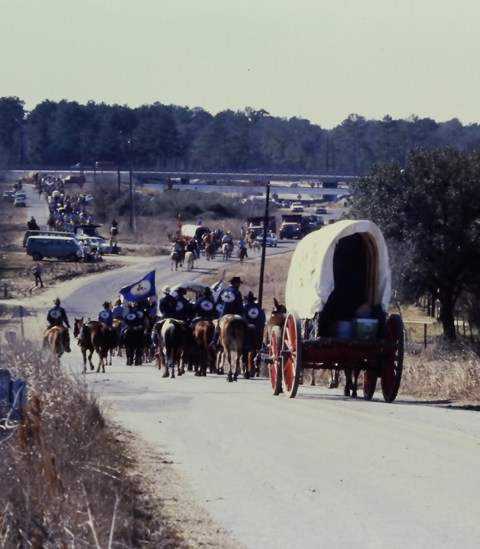 Trail Rides - Houston Livestock Show and Rodeo