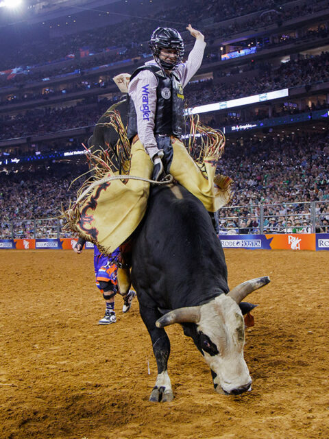 Tickets | Houston Livestock Show and Rodeo