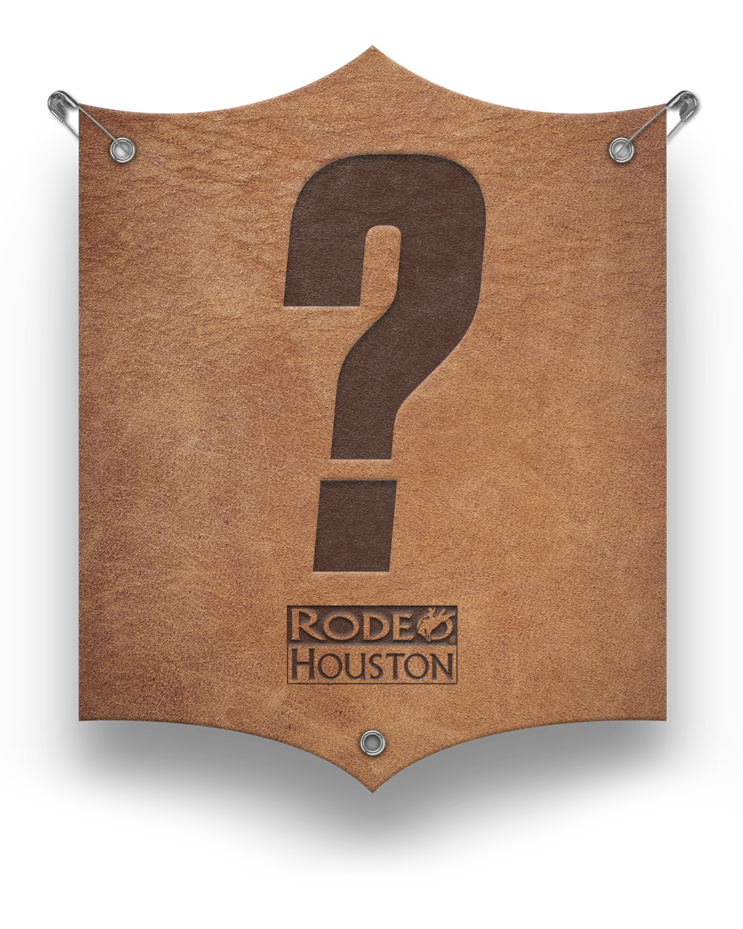 Advancements | Bull Riding - Houston Livestock Show and Rodeo