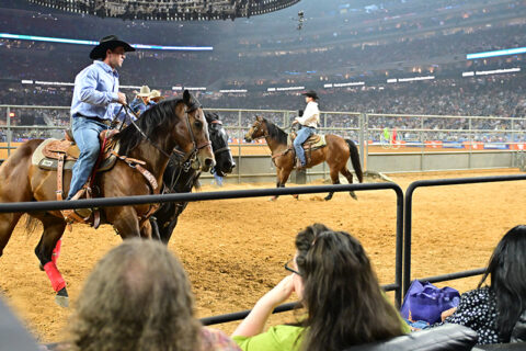 Premium Seating | Houston Livestock Show and Rodeo