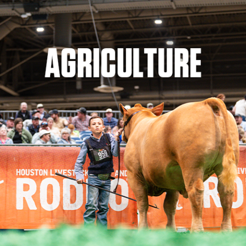 The Official Houston Livestock Show and Rodeo Website