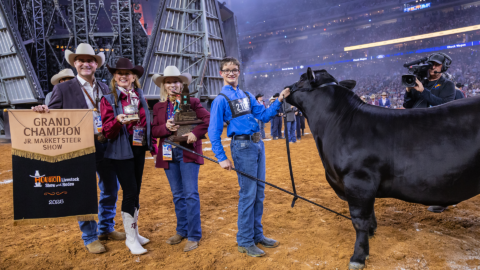 2025 Jr. Market Steer Show Champion Selection Results | Houston ...