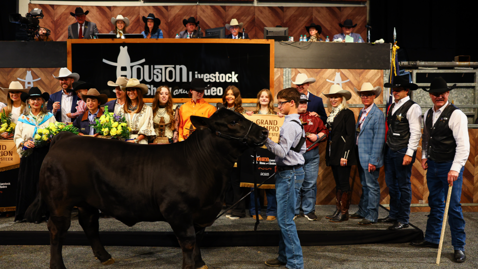 2025 Jr. Market Steer Auction Results | Houston Livestock Show and Rodeo