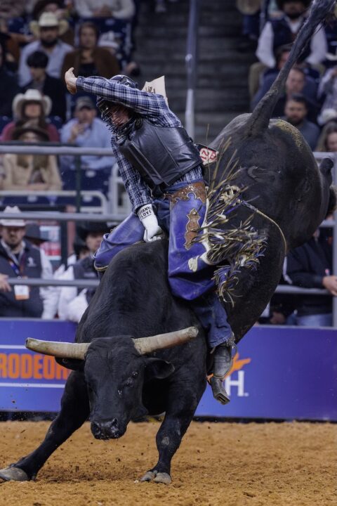 Advancements | Bull Riding | Houston Livestock Show and Rodeo