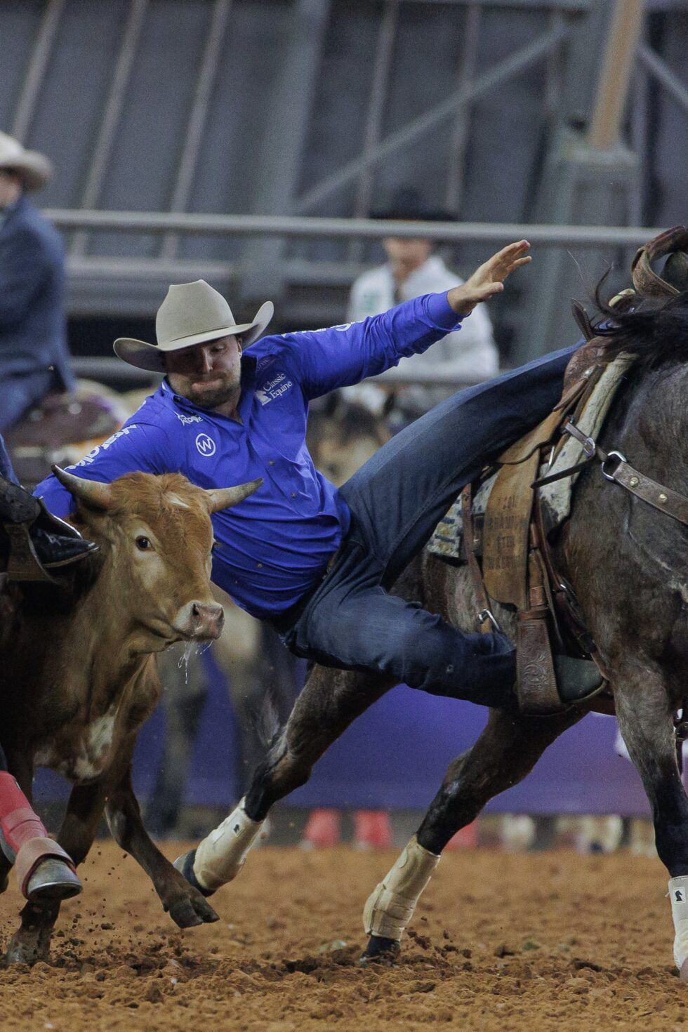 Advancements | Steer Wrestling | Houston Livestock Show and Rodeo