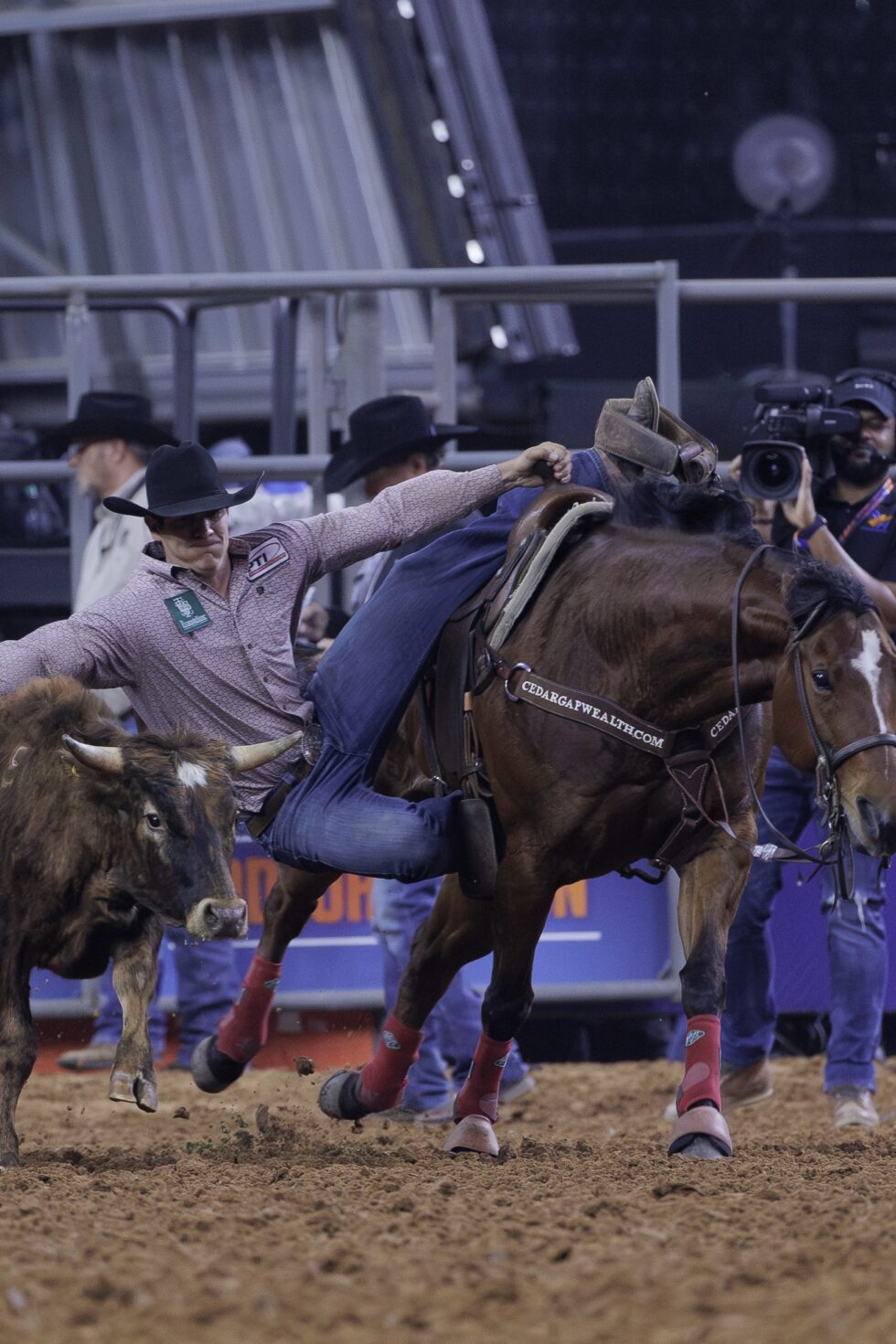 Advancements | Steer Wrestling | Houston Livestock Show and Rodeo