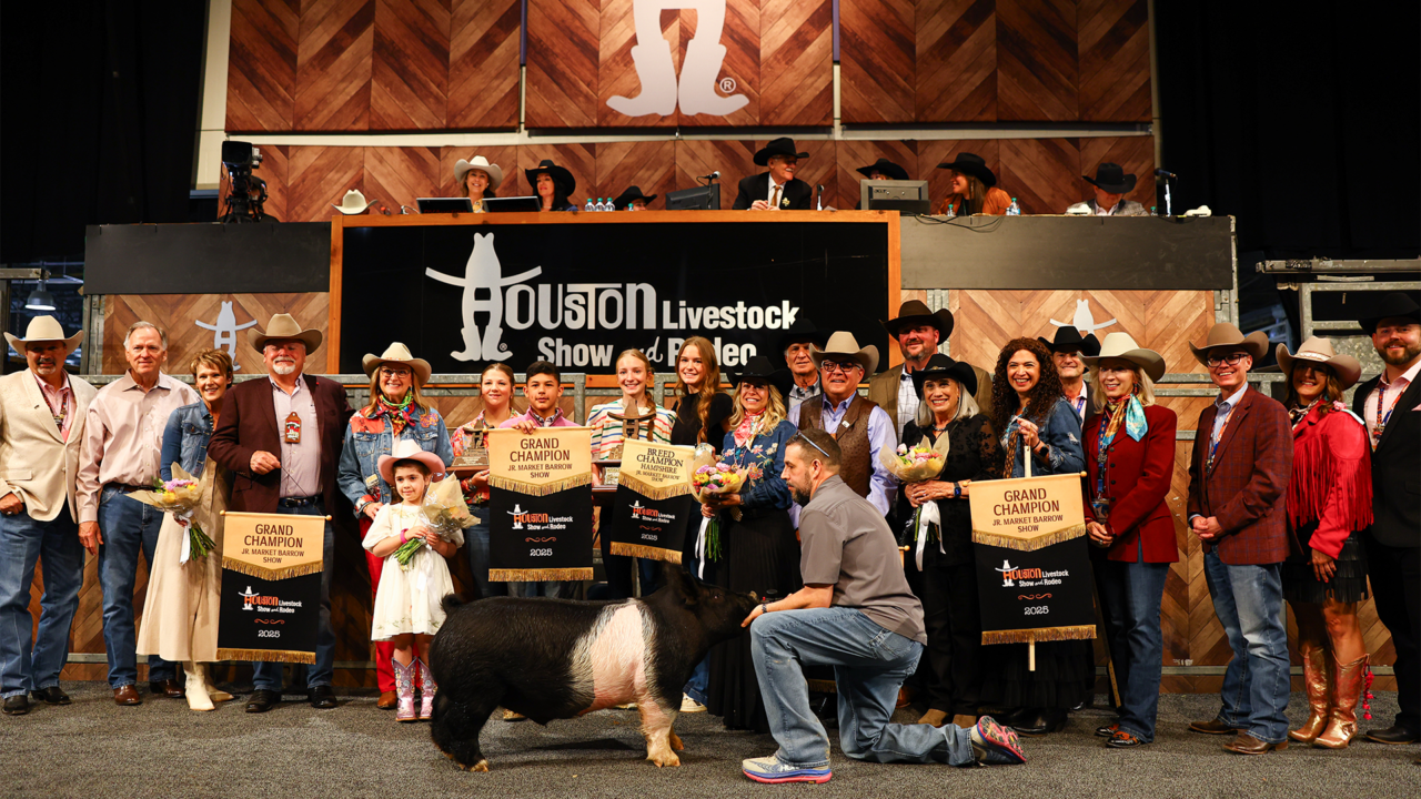 Auctions & Sales | Houston Livestock Show and Rodeo