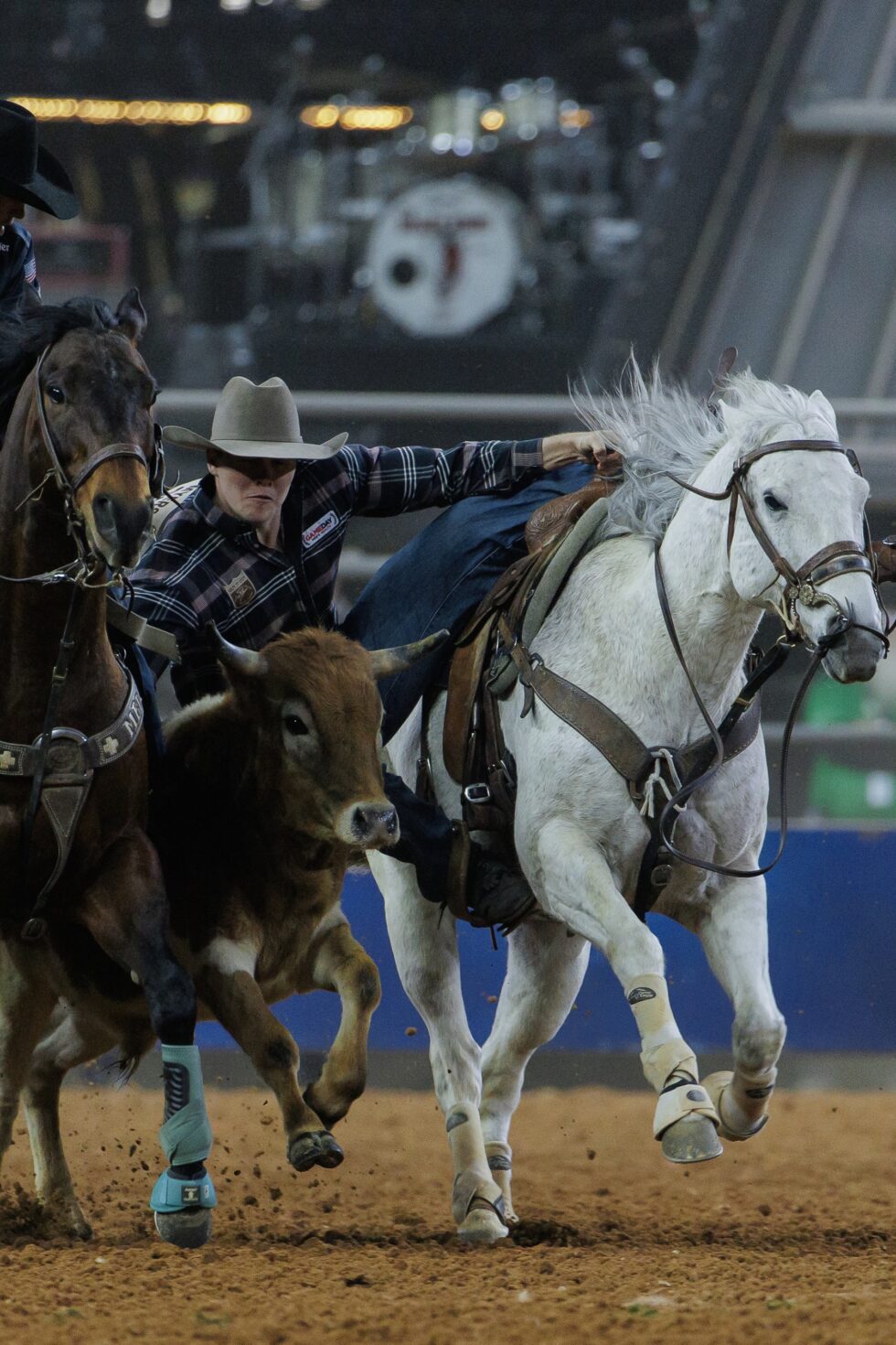 Advancements | Steer Wrestling - Houston Livestock Show and Rodeo