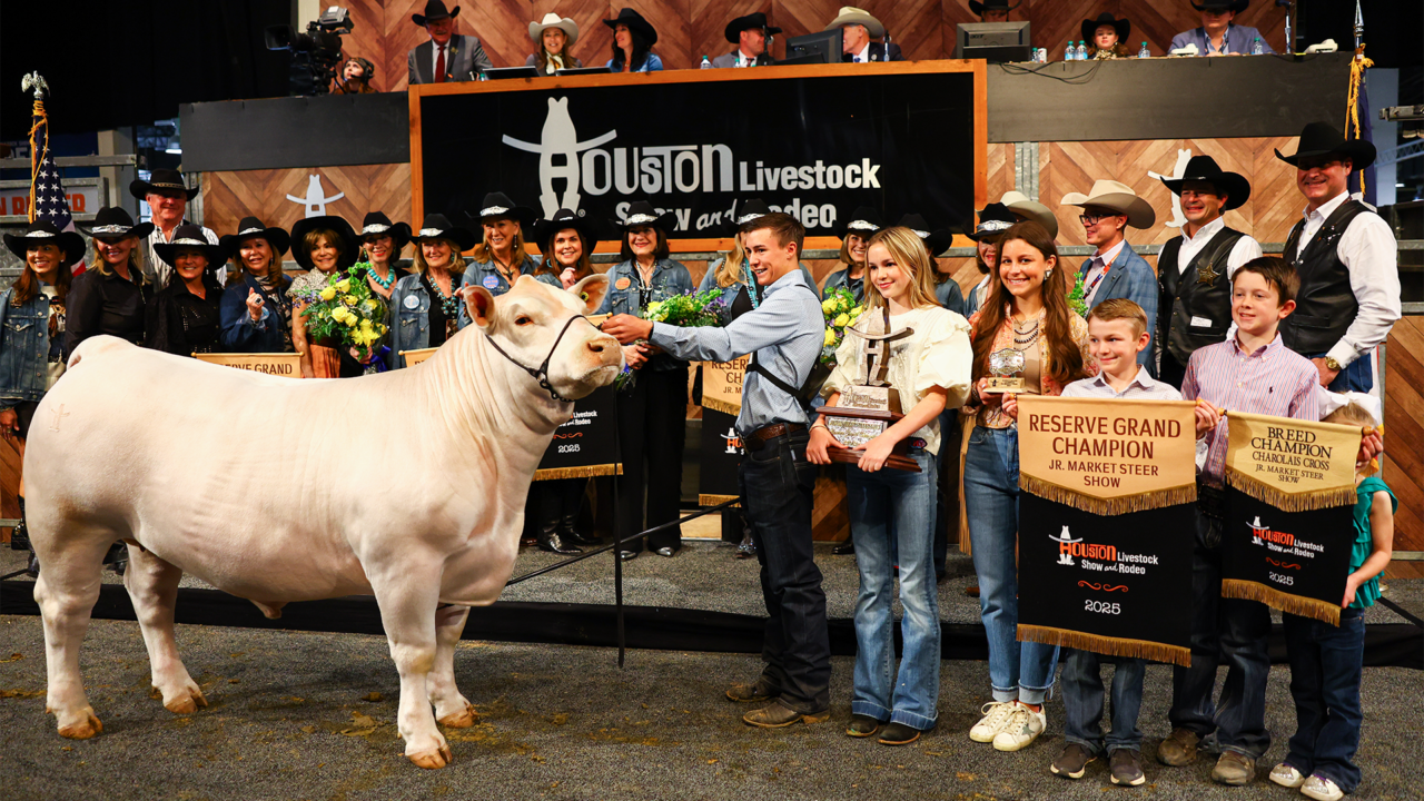 Auctions & Sales | Houston Livestock Show and Rodeo