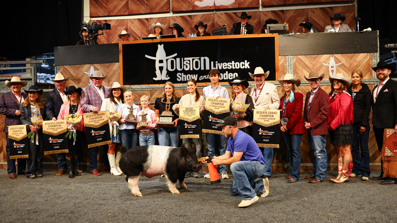 Auctions & Sales | Houston Livestock Show and Rodeo