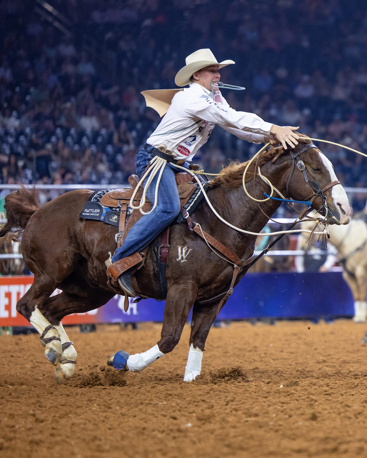 RODEOHOUSTON Champions | Houston Livestock Show and Rodeo