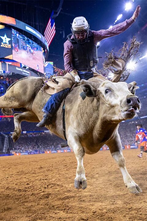Advancements | Bull Riding | Houston Livestock Show and Rodeo