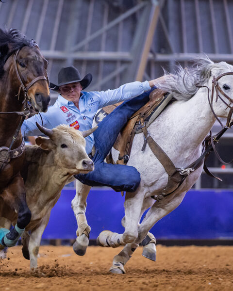 RODEOHOUSTON Champions | Houston Livestock Show and Rodeo