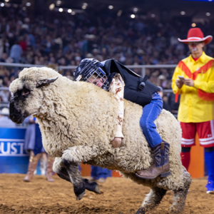 Mutton Bustin’ - Houston Livestock Show and Rodeo