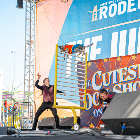 The Junction Stage | Houston Livestock Show and Rodeo