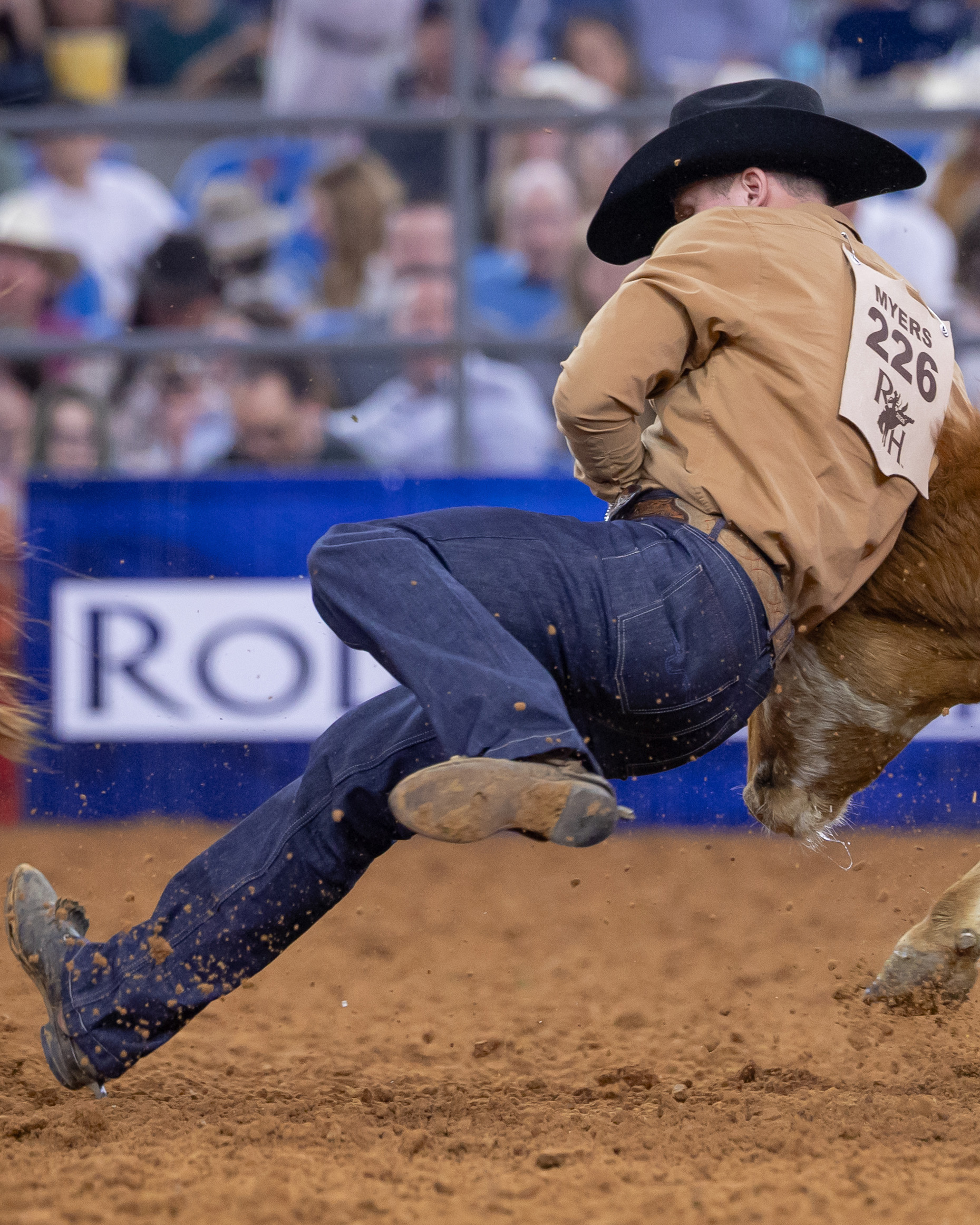 RODEOHOUSTON Champions | Houston Livestock Show and Rodeo